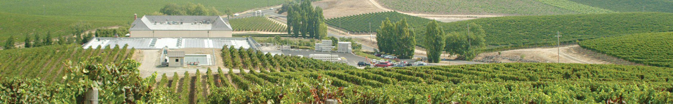 Brut Rosé Cuvée de la Pompadour – Kobrand Wine & Spirits