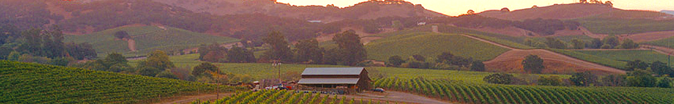 Brut Rosé Cuvée de la Pompadour – Kobrand Wine & Spirits