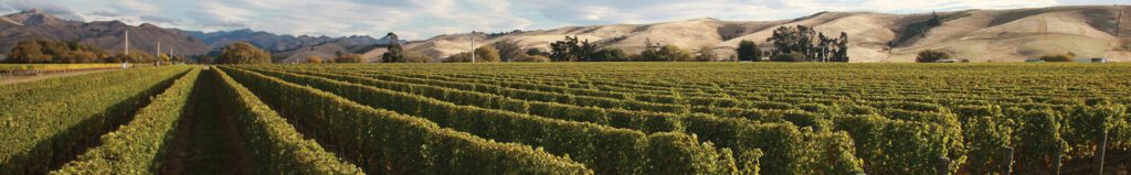 Infamous Goose – Kobrand Wine & Spirits