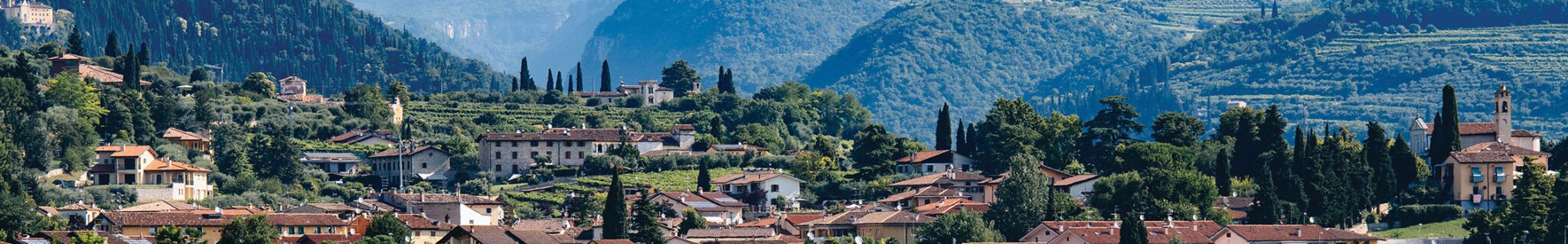 Buglioni – Kobrand Wine & Spirits