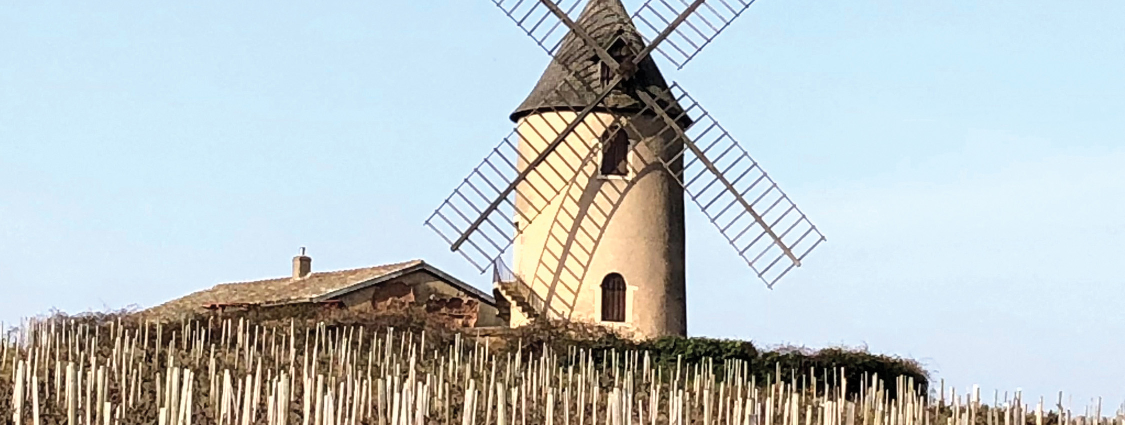 Kobrand Wine & Spirits